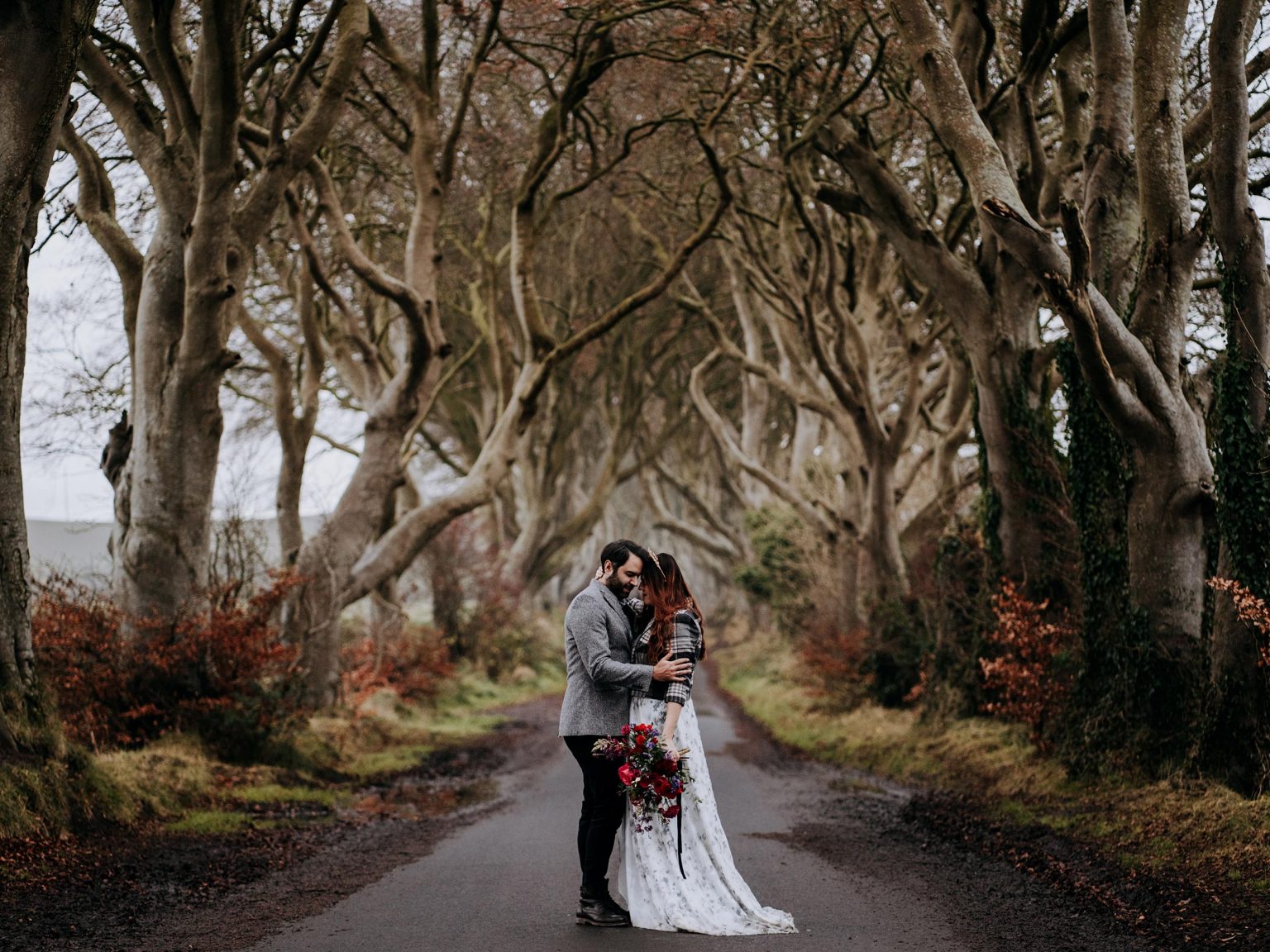 Postcard from The Dark Hedges – POL&BARB